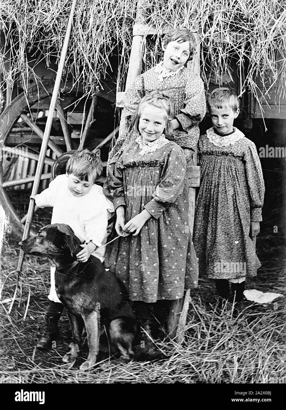 Negative - Children & Dog, Yanac, Victoria, 1899, Four young children ...