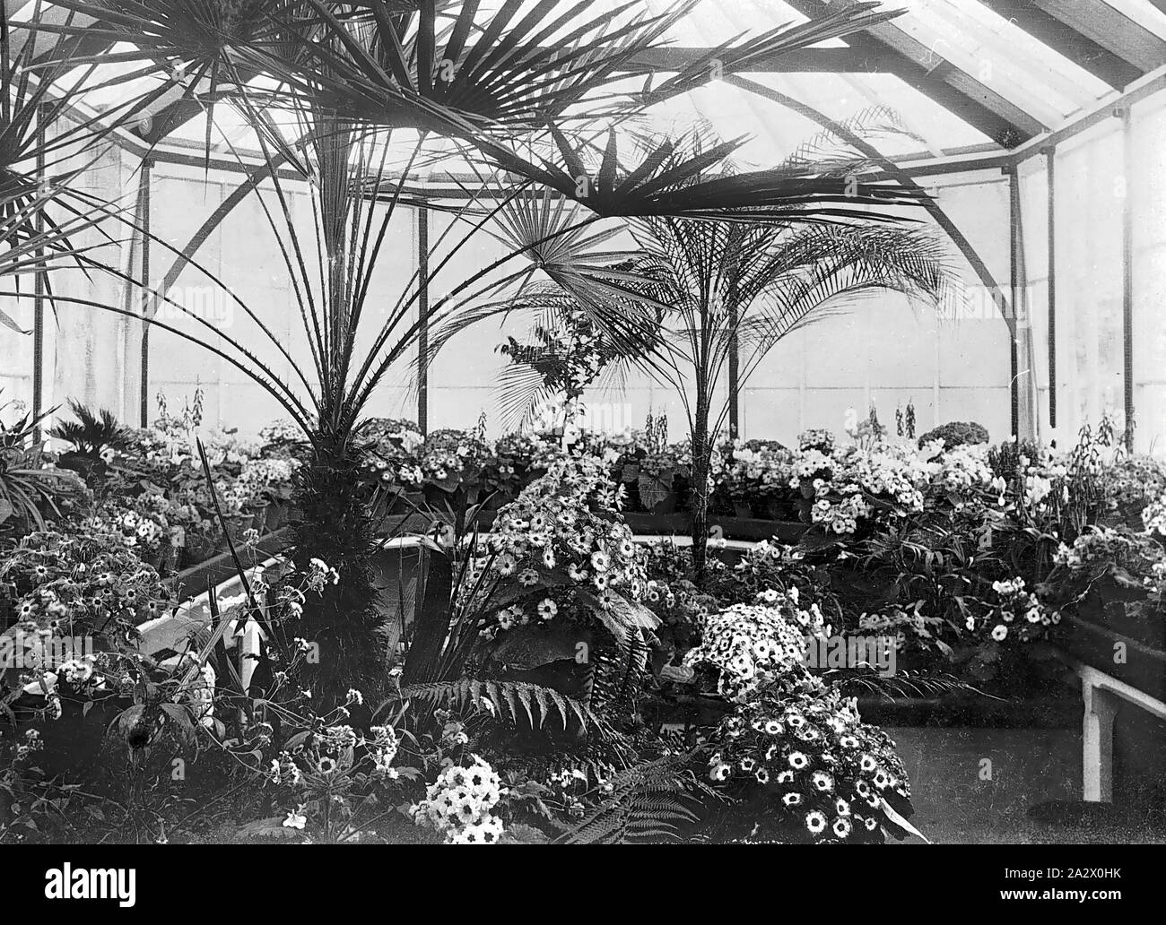 Negative - Greenhouse at 'Warrock' Station, Casterton District ...