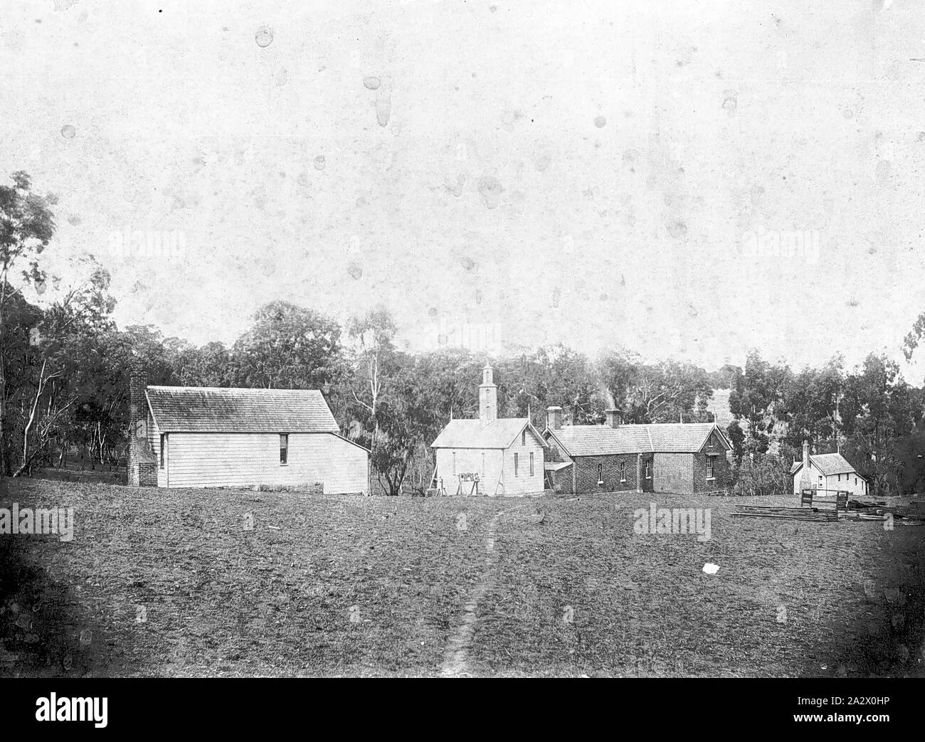 Negative - 'Warrock' Station, Casterton District, Victoria, circa 1900 ...