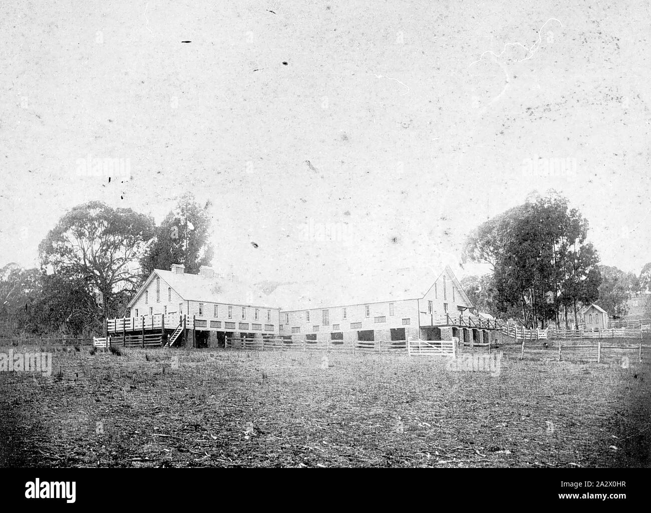 Negative - Woolshed at 'Warrock' Station, Casterton District, Victoria ...