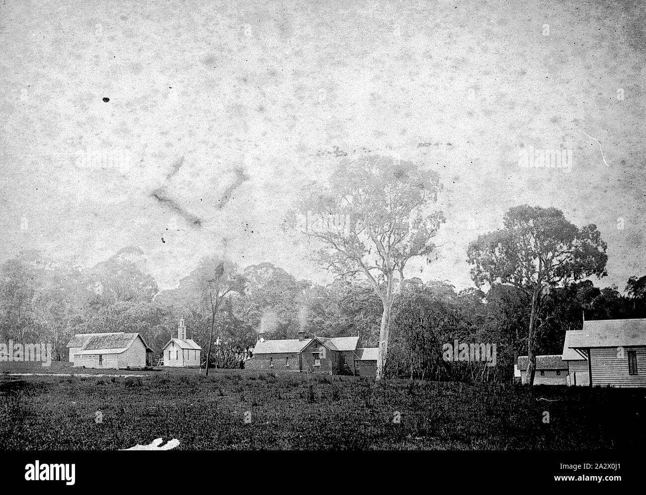 Negative - 'Warrock' Station, Casterton District, Victoria, circa 1900 ...