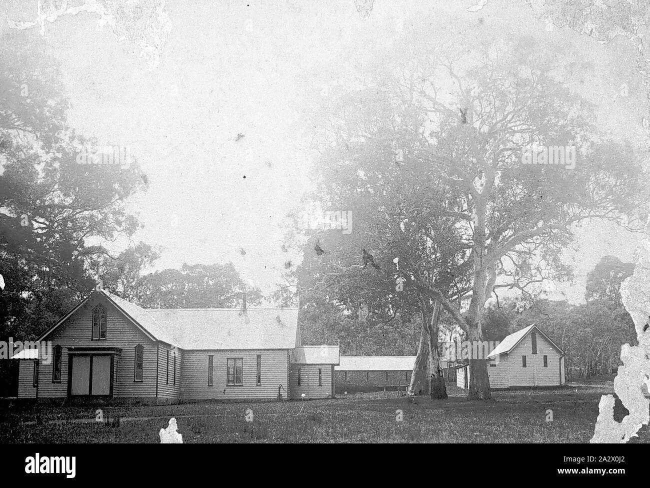 Negative - 'Warrock' Station, Casterton District, Victoria, circa 1900 ...