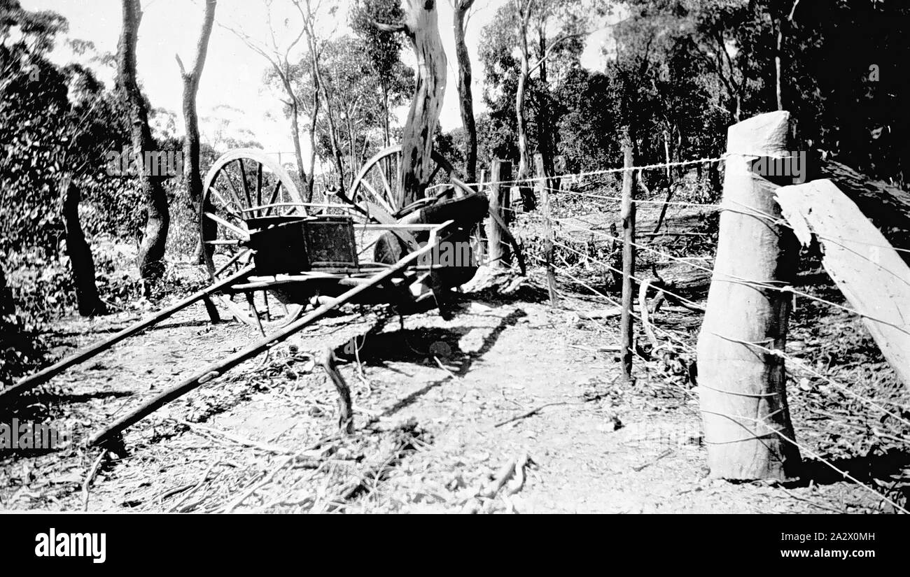 Negative - Kingower District, Victoria, Oct 1934, An upturned buggy ...
