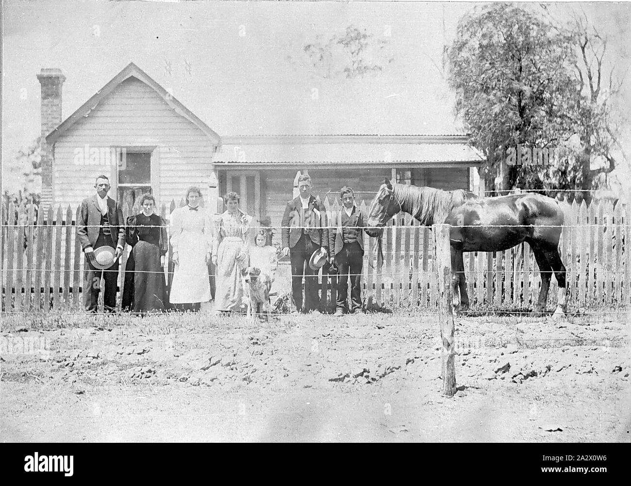 Negative - Drummartin District, Victoria, circa 1900, The Nicholls ...