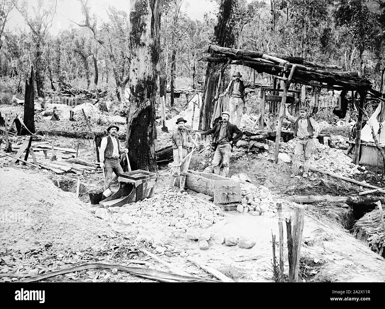 Victoria gold hi-res stock photography and images - Alamy