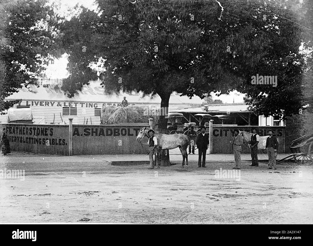 Negative - Bendigo, Victoria, 1890, Featherstone's Livery and Letting ...
