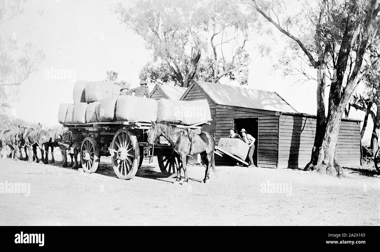 Negative - Fernihurst, Victoria, circa 1915, Men rolling wool bales ...
