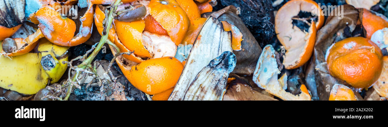 nature Biowaste Panorama Stock Photo - Alamy