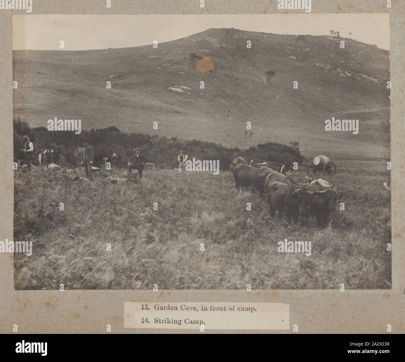 Photograph - Field Naturalists' Club of Victoria Scientific Expedition ...