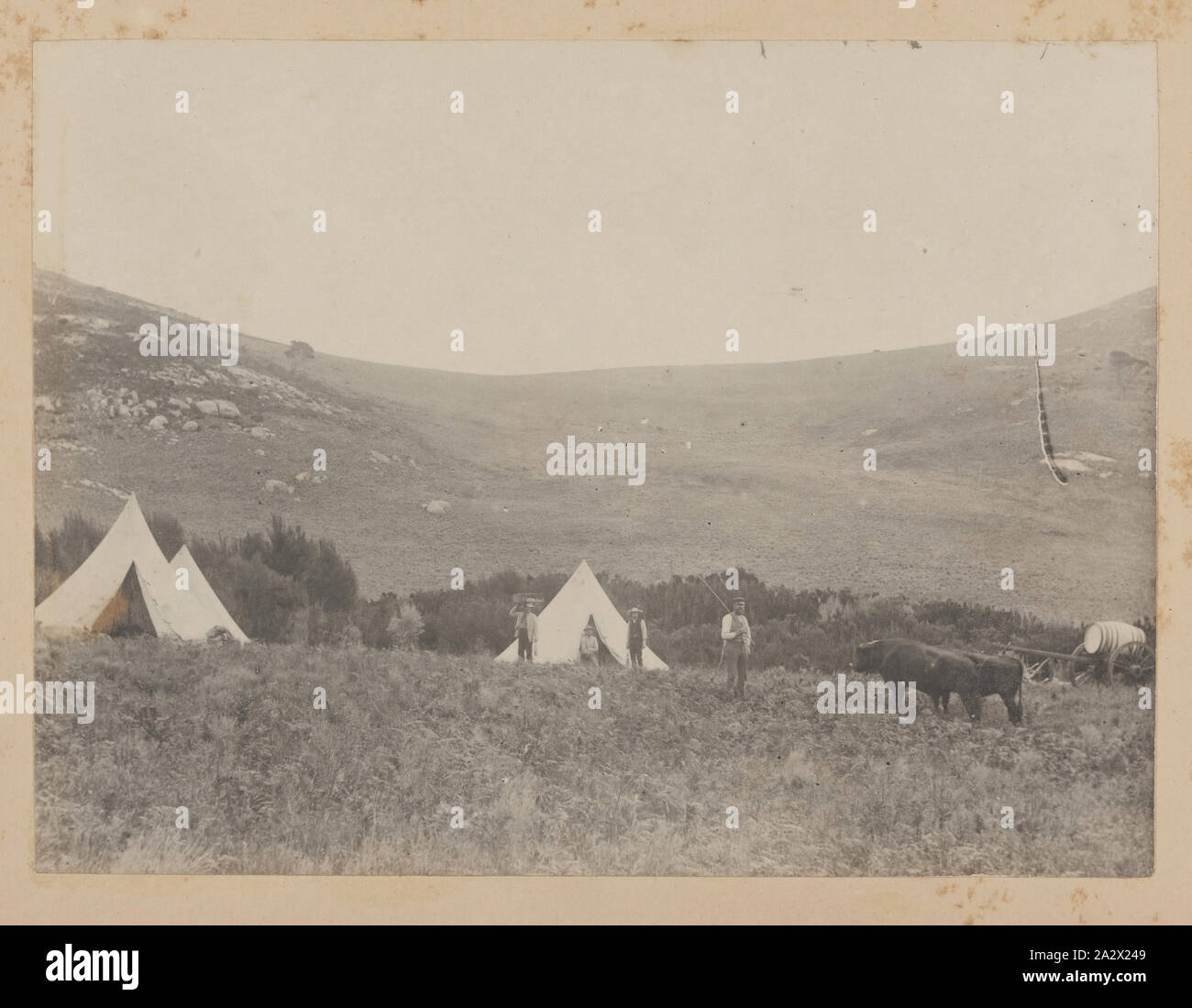 Photograph - Field Naturalists' Club of Victoria Scientific Expedition ...