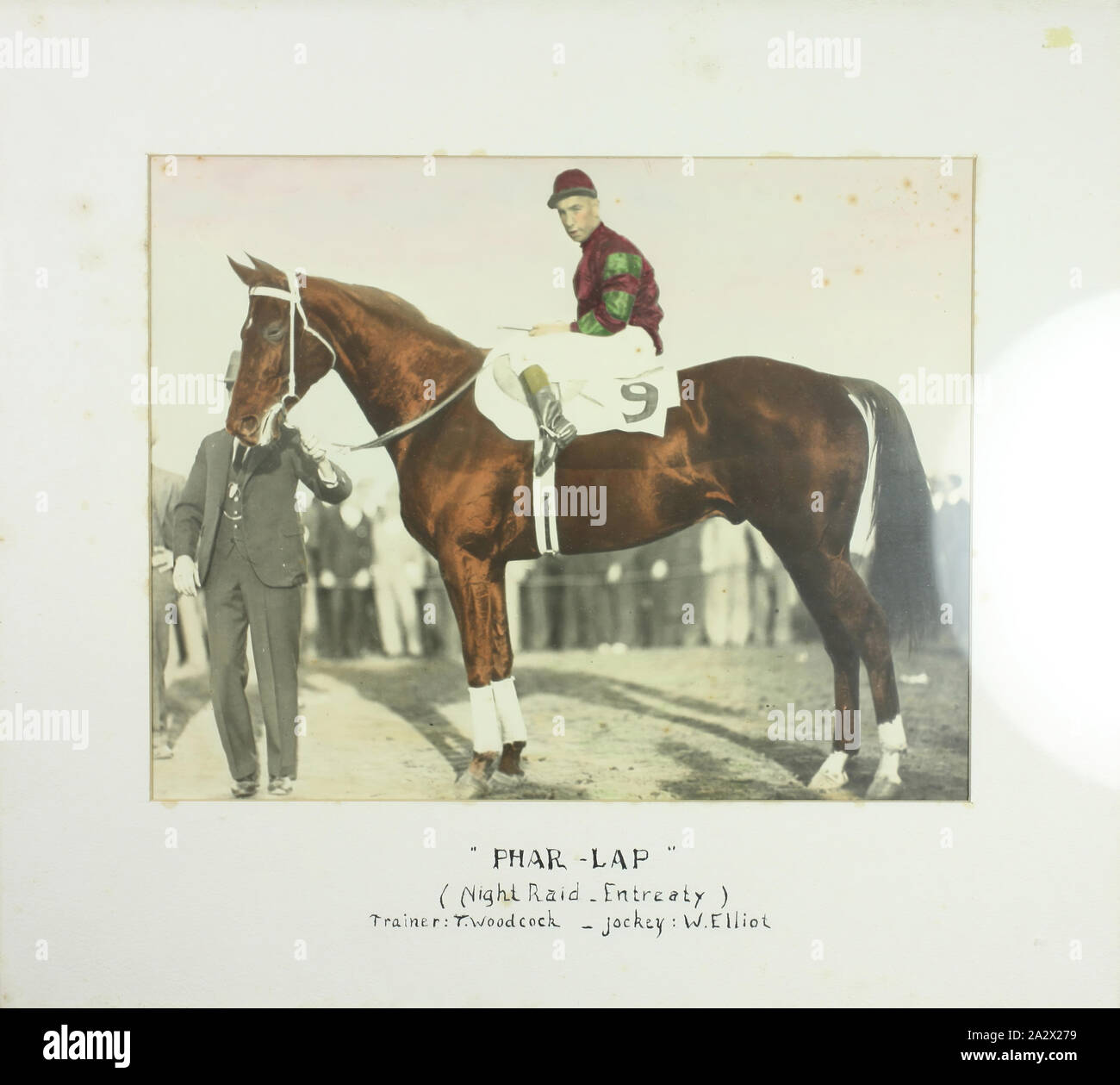 Photograph - Bill Elliot, Tommy Woodcock & Phar Lap at the Agua ...