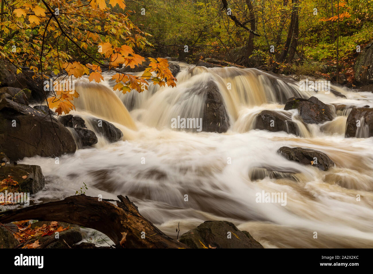 A waterfall on a creek in the woods during autumn Stock Photo - Alamy