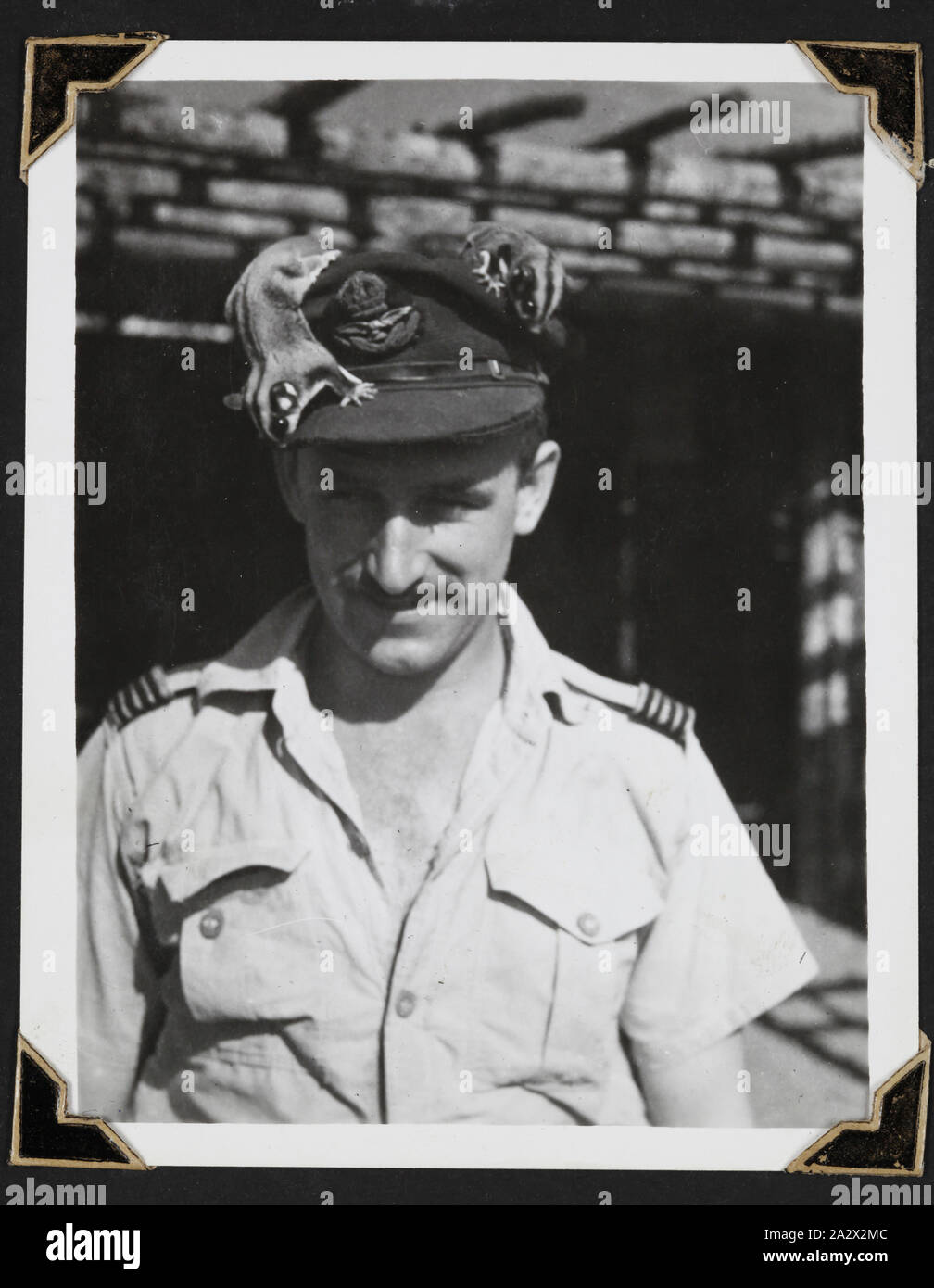 World war ii gliders hi-res stock photography and images - Alamy