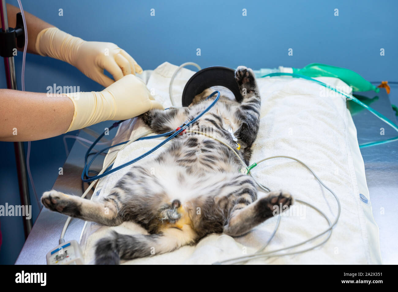 Telemetry ecg hi-res stock photography and images - Alamy