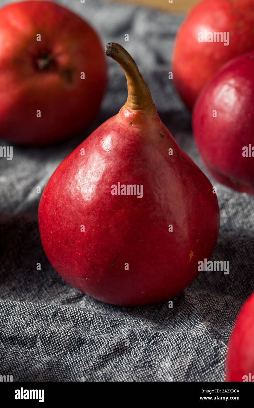 Raw Red Organic Anjou Pears in a Bunch Stock Photo - Alamy
