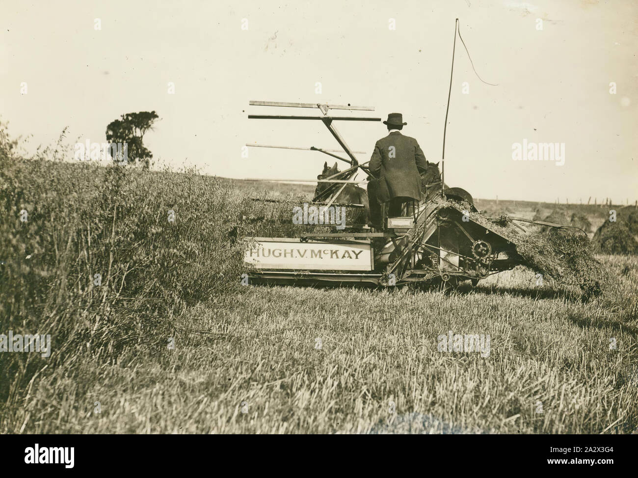 Two horse drawn reaper binder hi-res stock photography and images - Alamy