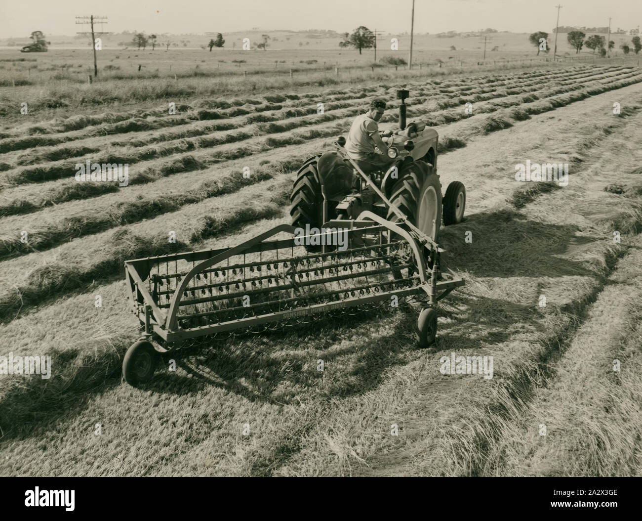 Side delivery rake hi-res stock photography and images - Alamy