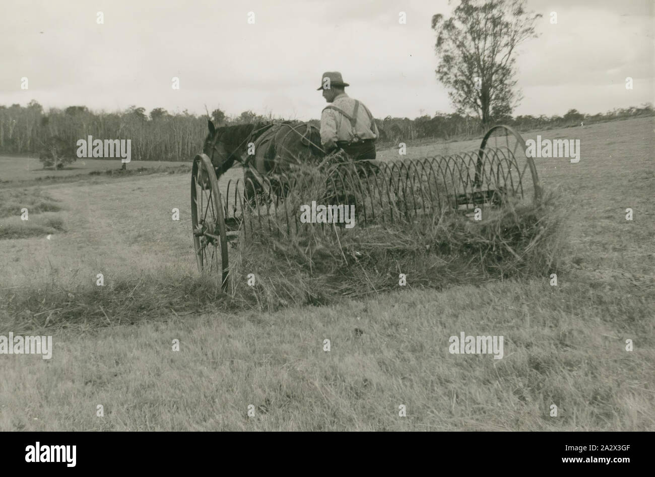 Horse hay rake hi-res stock photography and images - Alamy