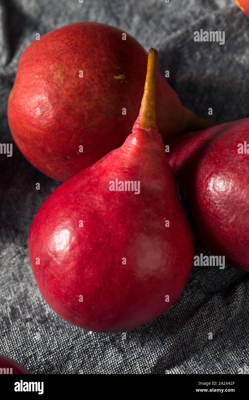 Raw Red Organic Anjou Pears in a Bunch Stock Photo - Alamy