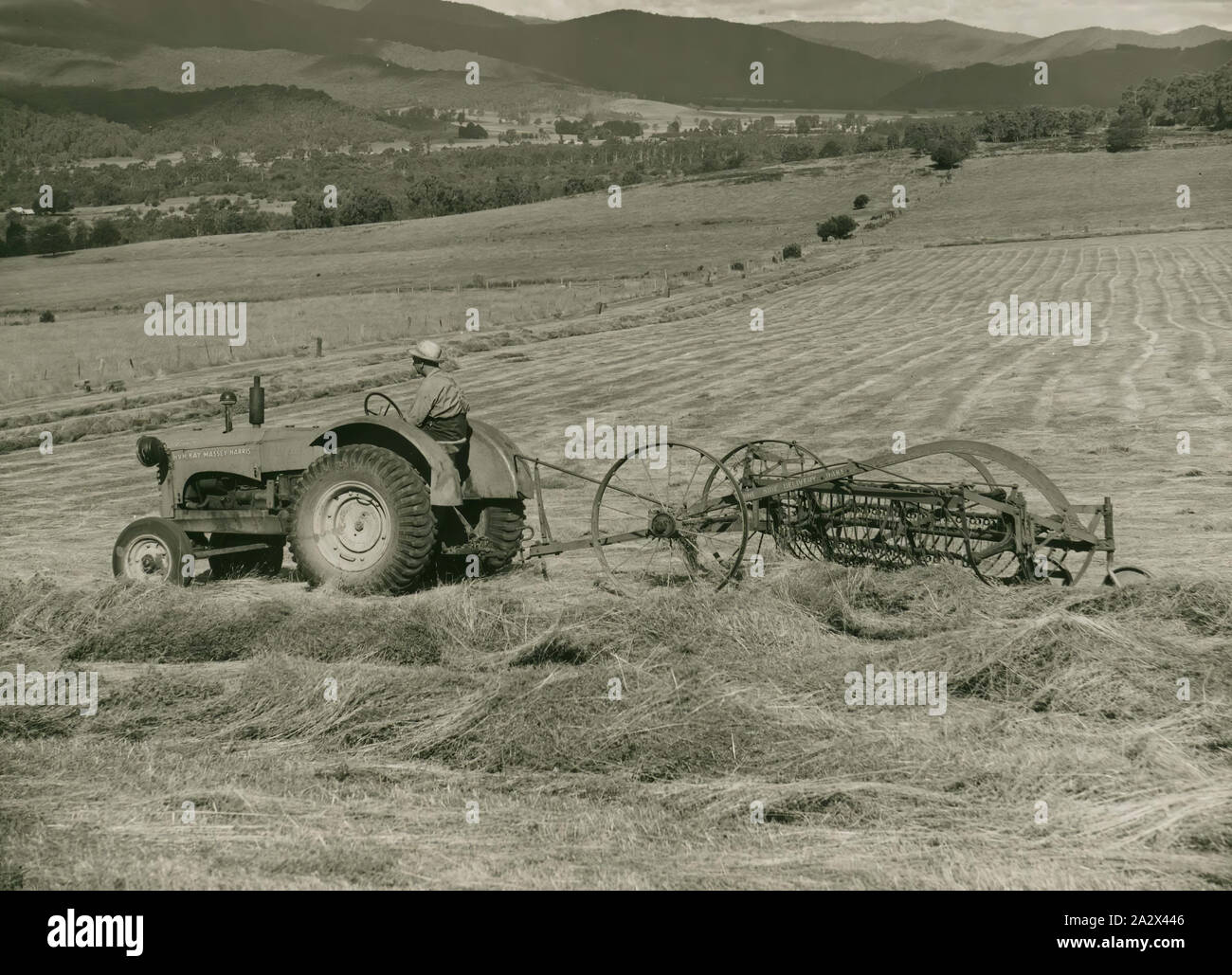 Side delivery hay rake hi-res stock photography and images - Alamy