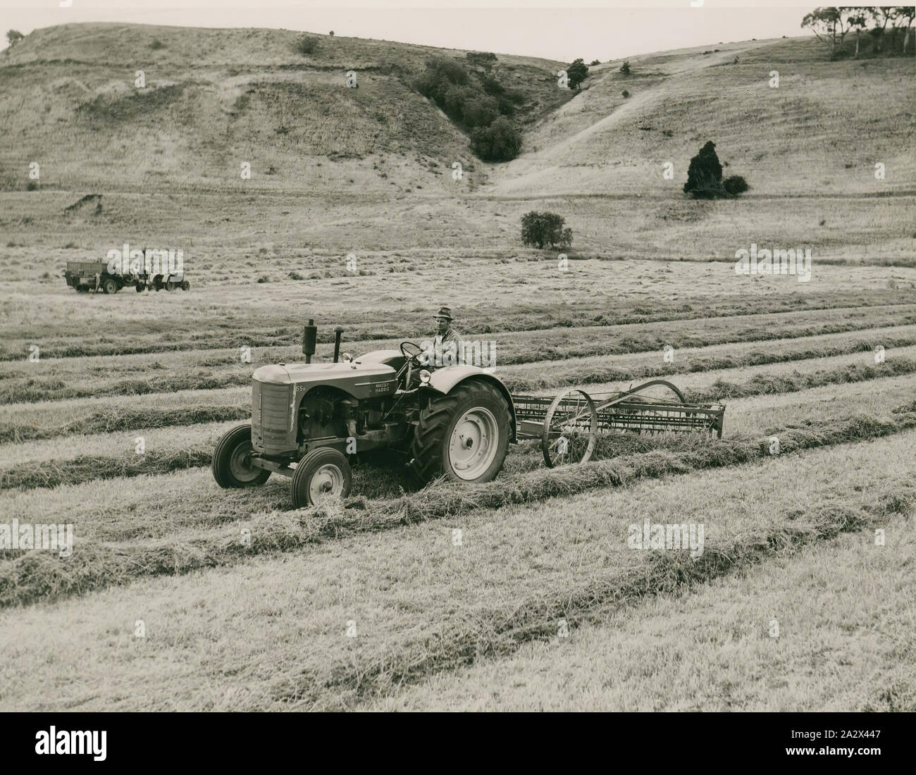 Photograph - Massey Ferguson, Hay rake, 1948, Photograph of tractor ...