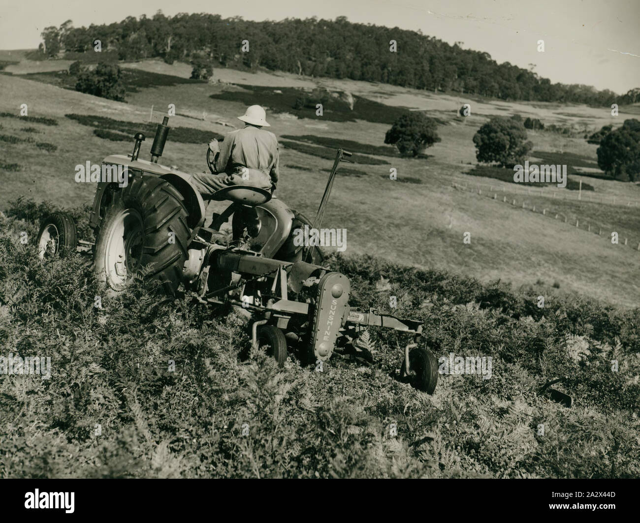 Strathbogie hi-res stock photography and images - Alamy