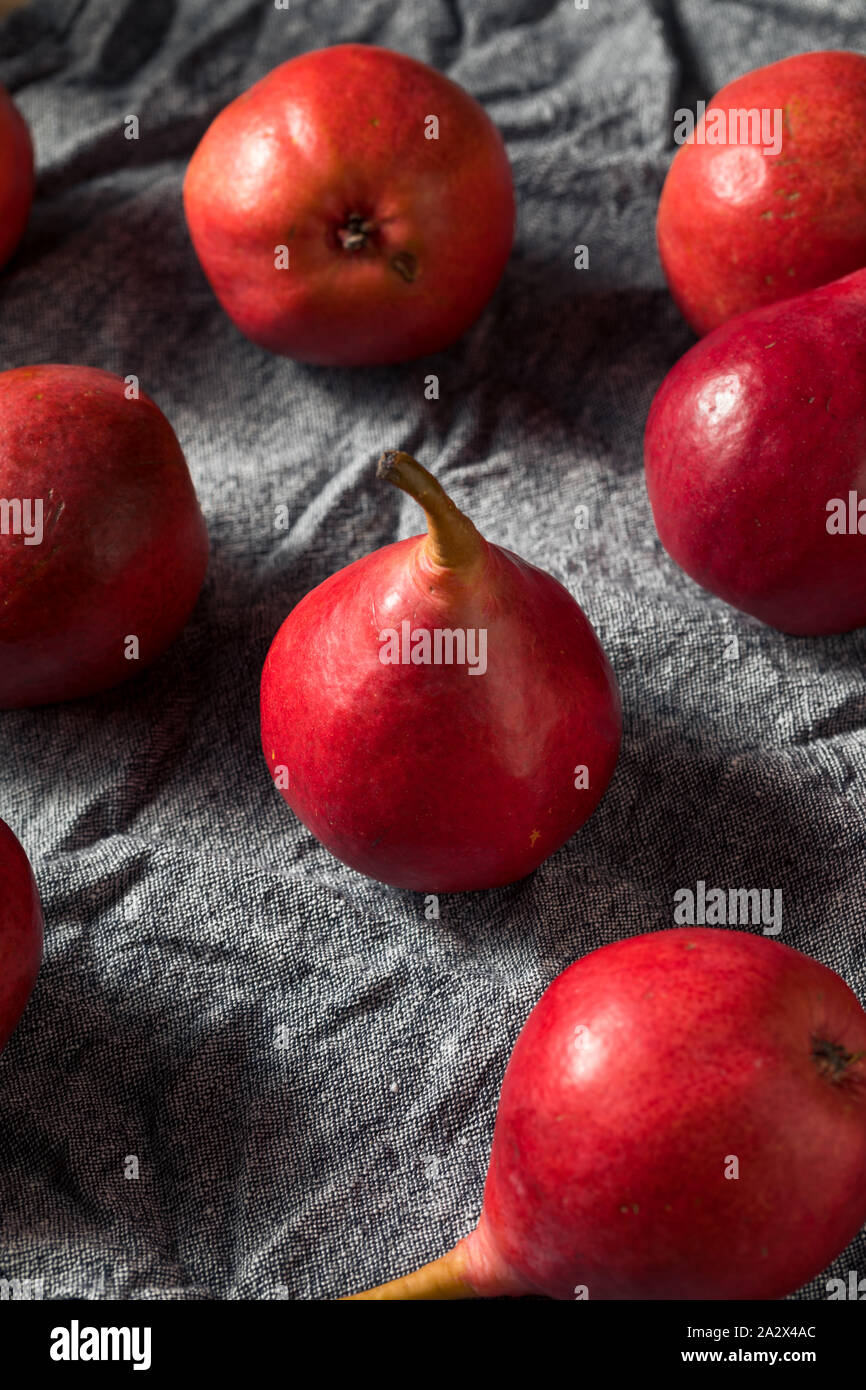 Raw Red Organic Anjou Pears in a Bunch Stock Photo - Alamy