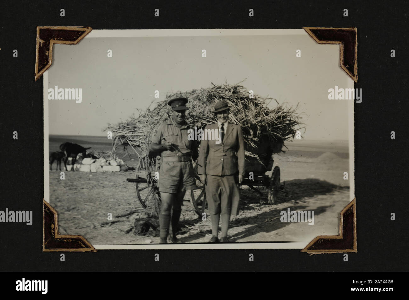 Ted white ii hi-res stock photography and images - Alamy