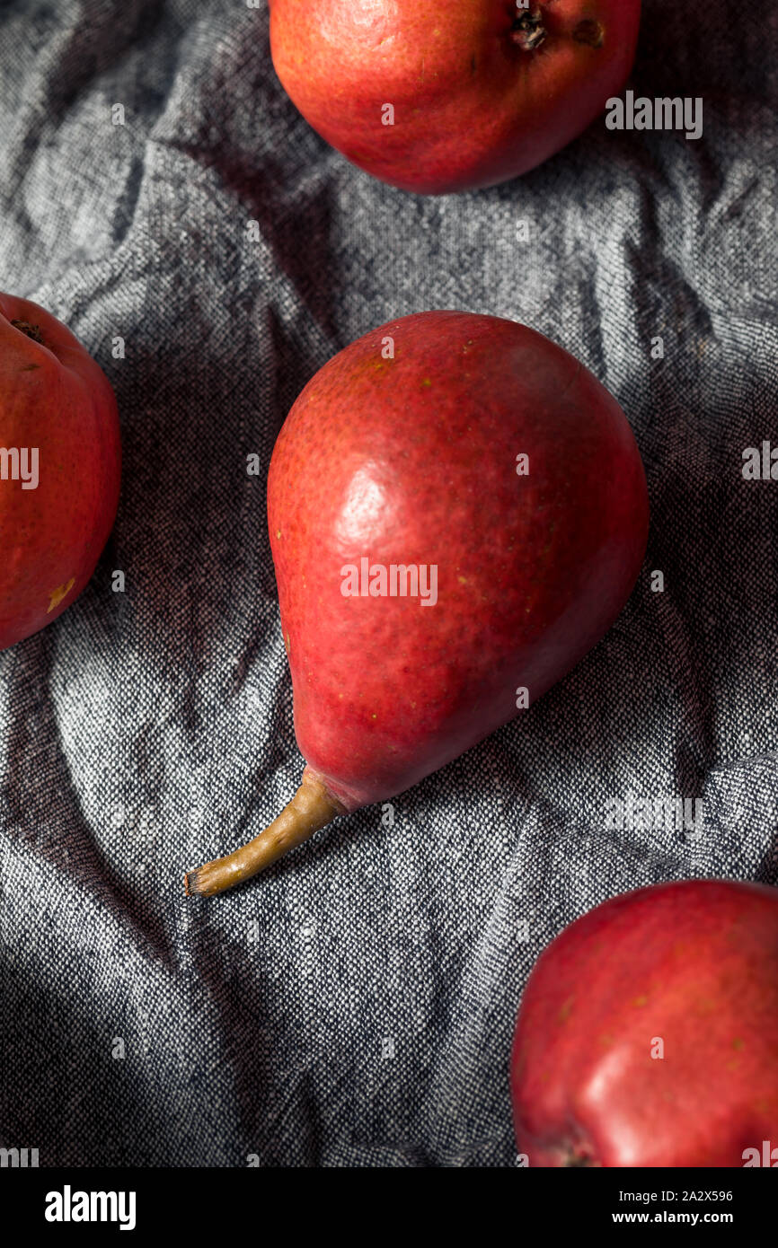 Raw Red Organic Anjou Pears in a Bunch Stock Photo - Alamy