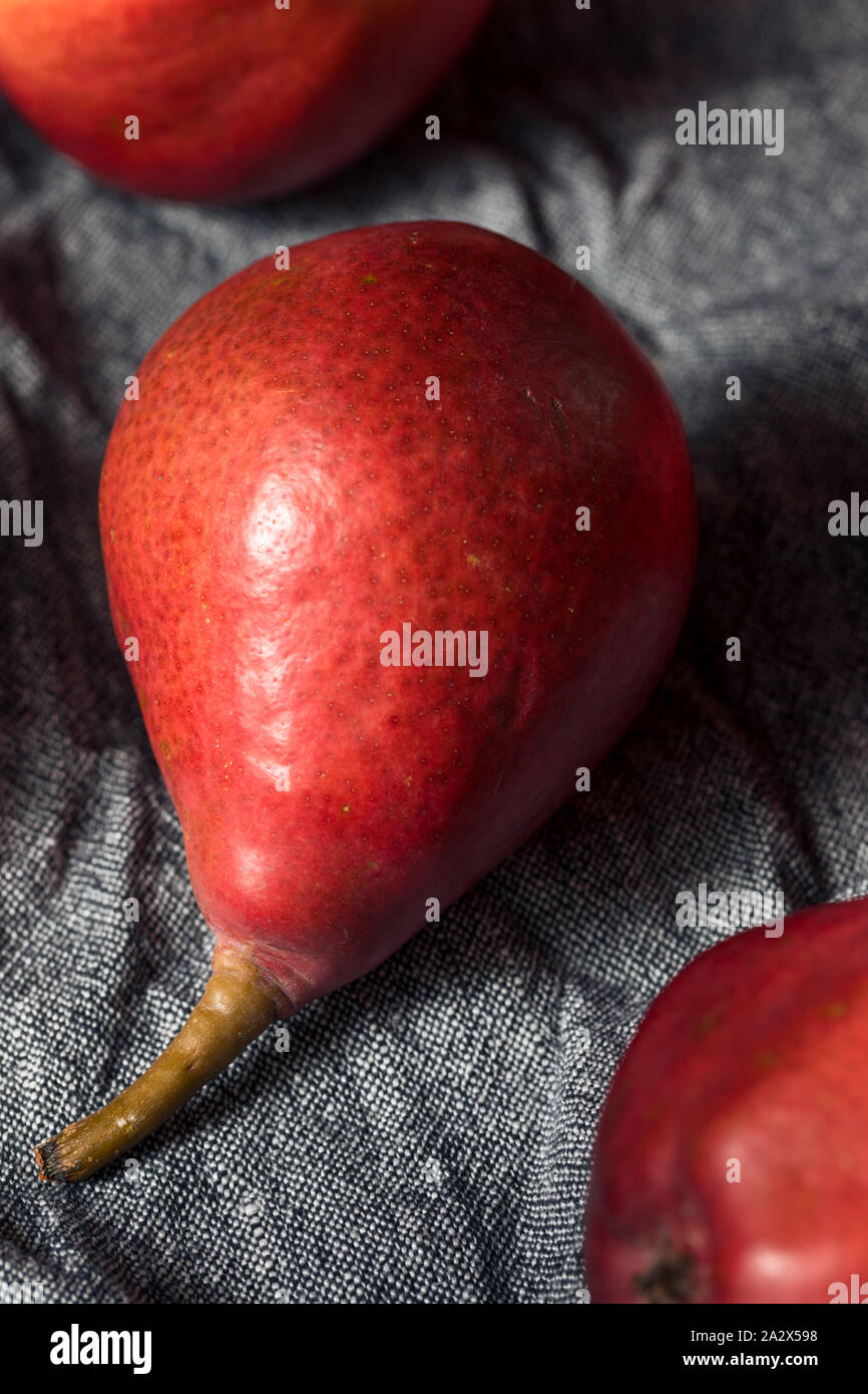 Raw Red Organic Anjou Pears in a Bunch Stock Photo - Alamy