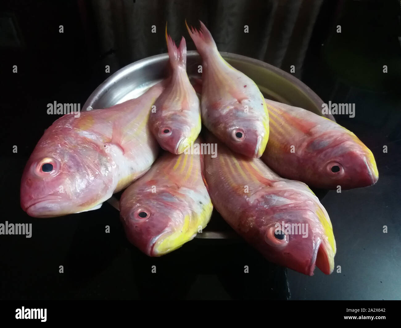 Corvina fish hi-res stock photography and images - Alamy