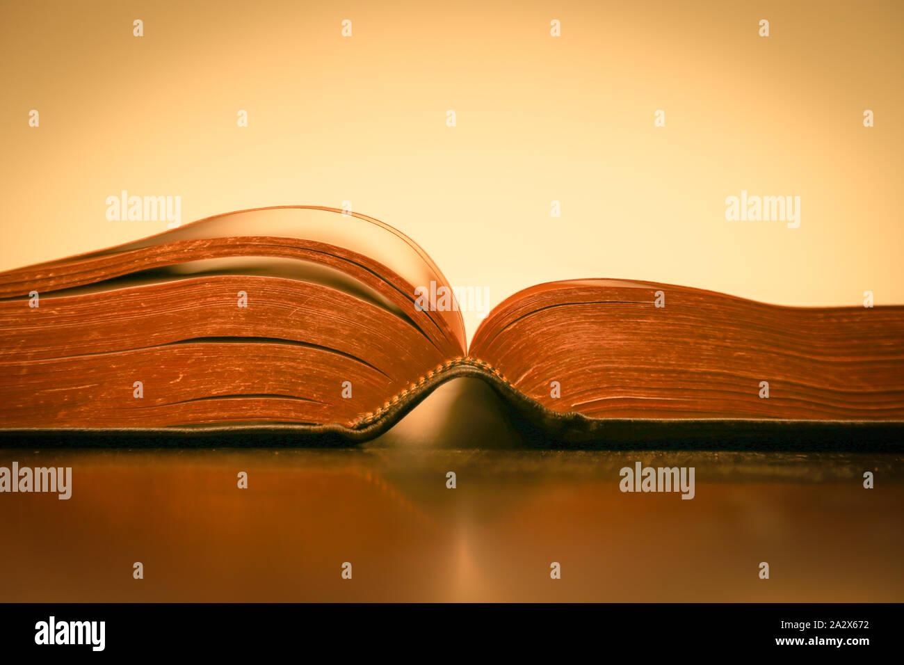 Pages of the bible over a yellow background - scripture highlighted in ...