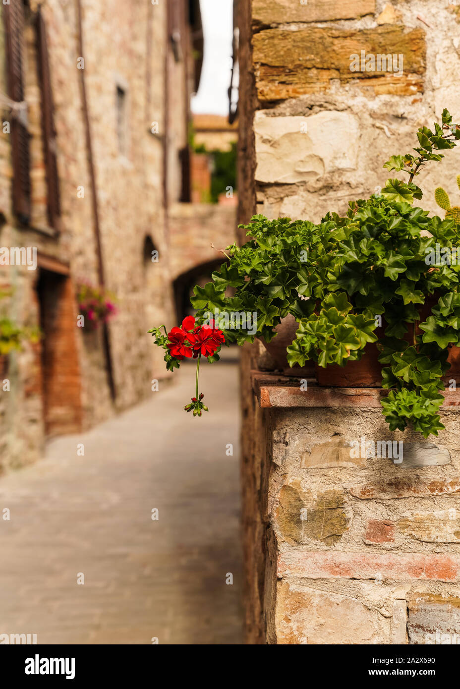 Travel Chianti Tuscany Italy Rustic Details Stock Photo - Alamy