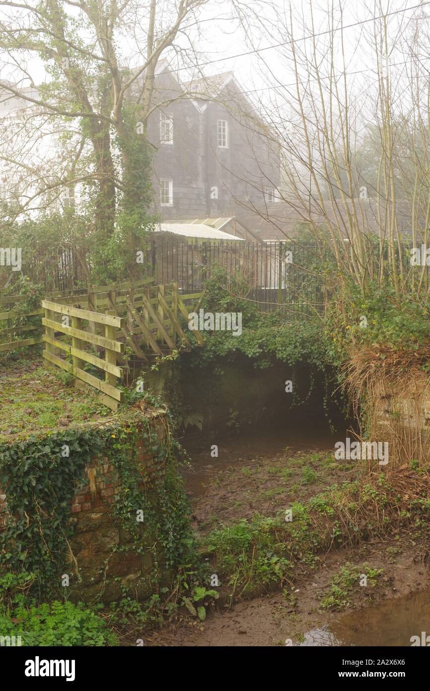 Countess Wear Paper Mill, Ruins by the Mill Leat on a Misty Winters Day ...