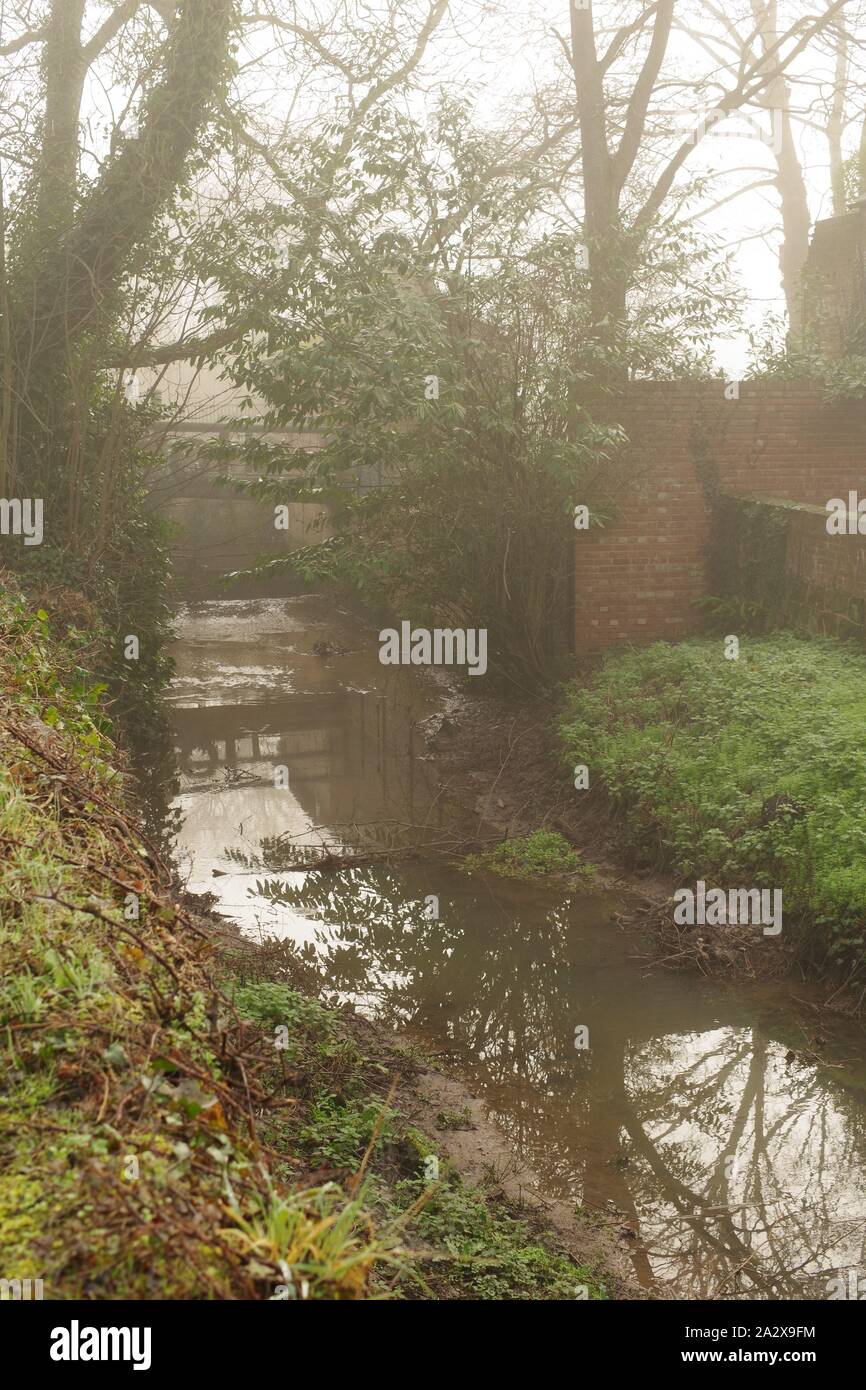 Countess Wear Paper Mill, Ruins by the Mill Leat on a Misty Winters Day ...