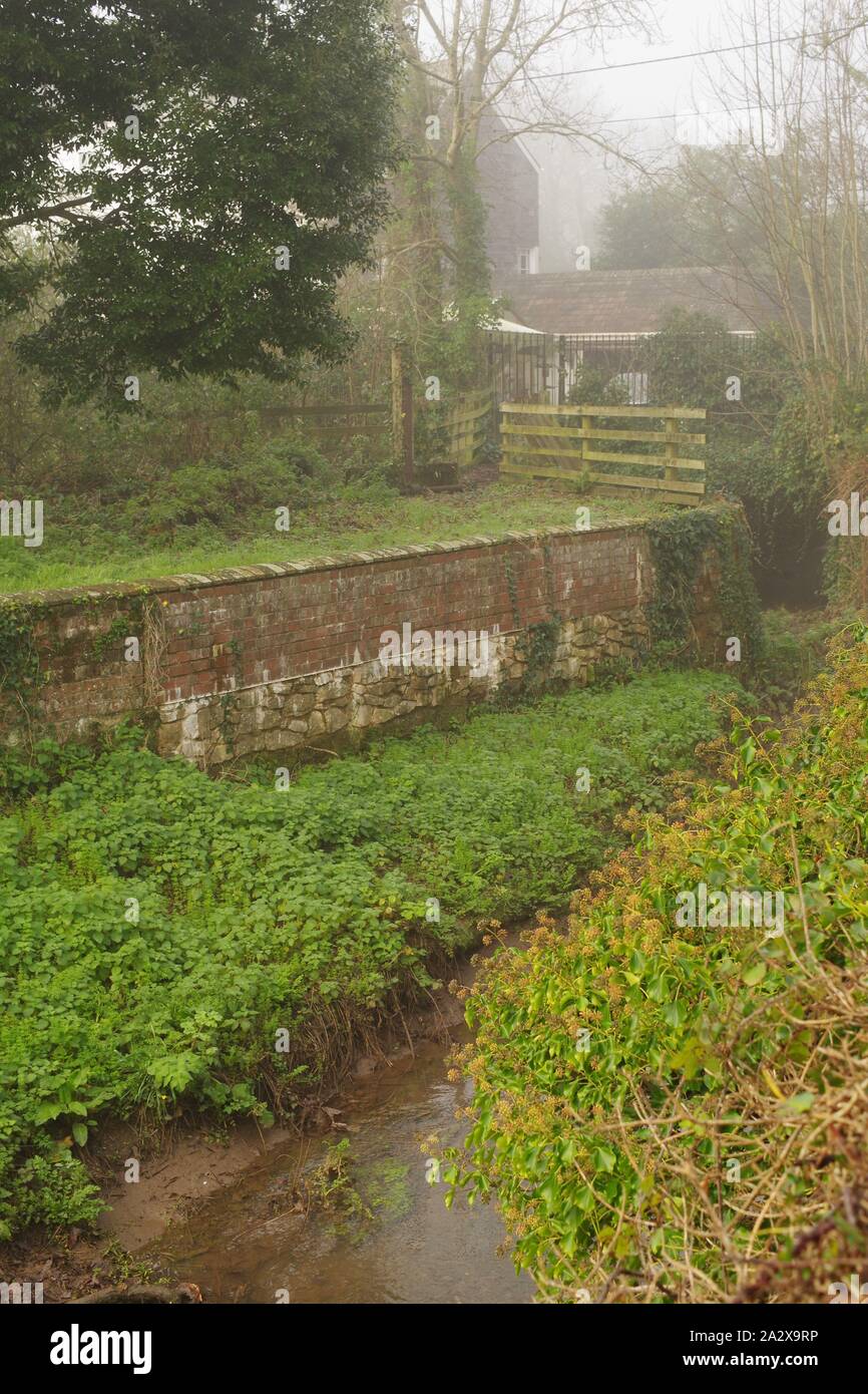Countess Wear Paper Mill, Ruins by the Mill Leat on a Misty Winters Day ...