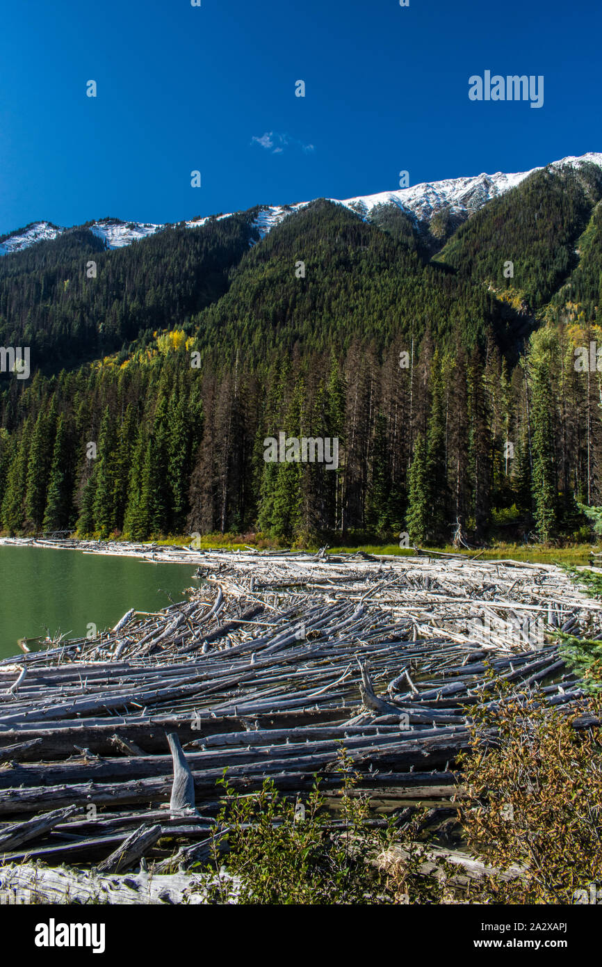 Duffey Lake Provincial Park High Resolution Stock Photography and ...