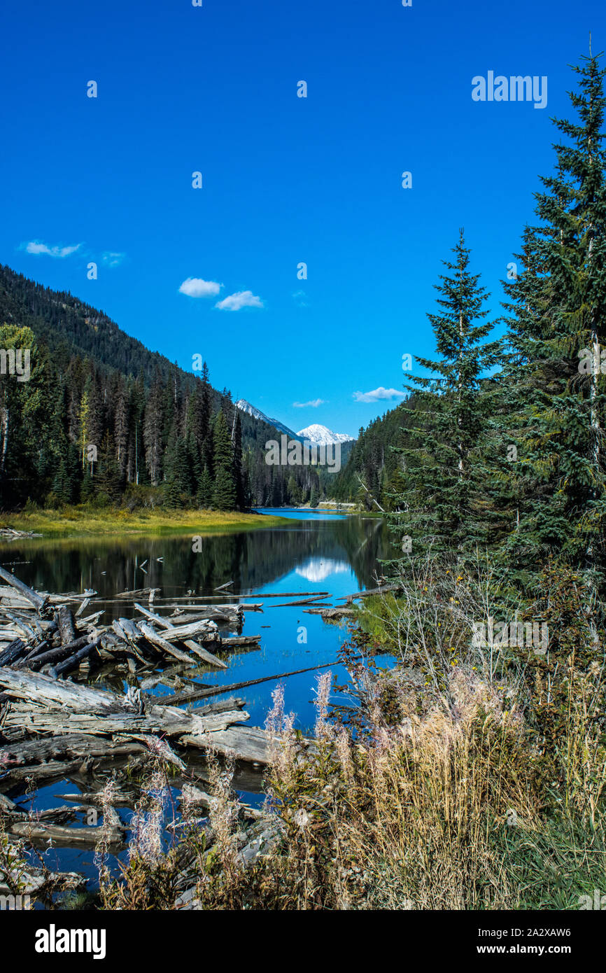 Duffey Lake Provincial Park High Resolution Stock Photography and ...