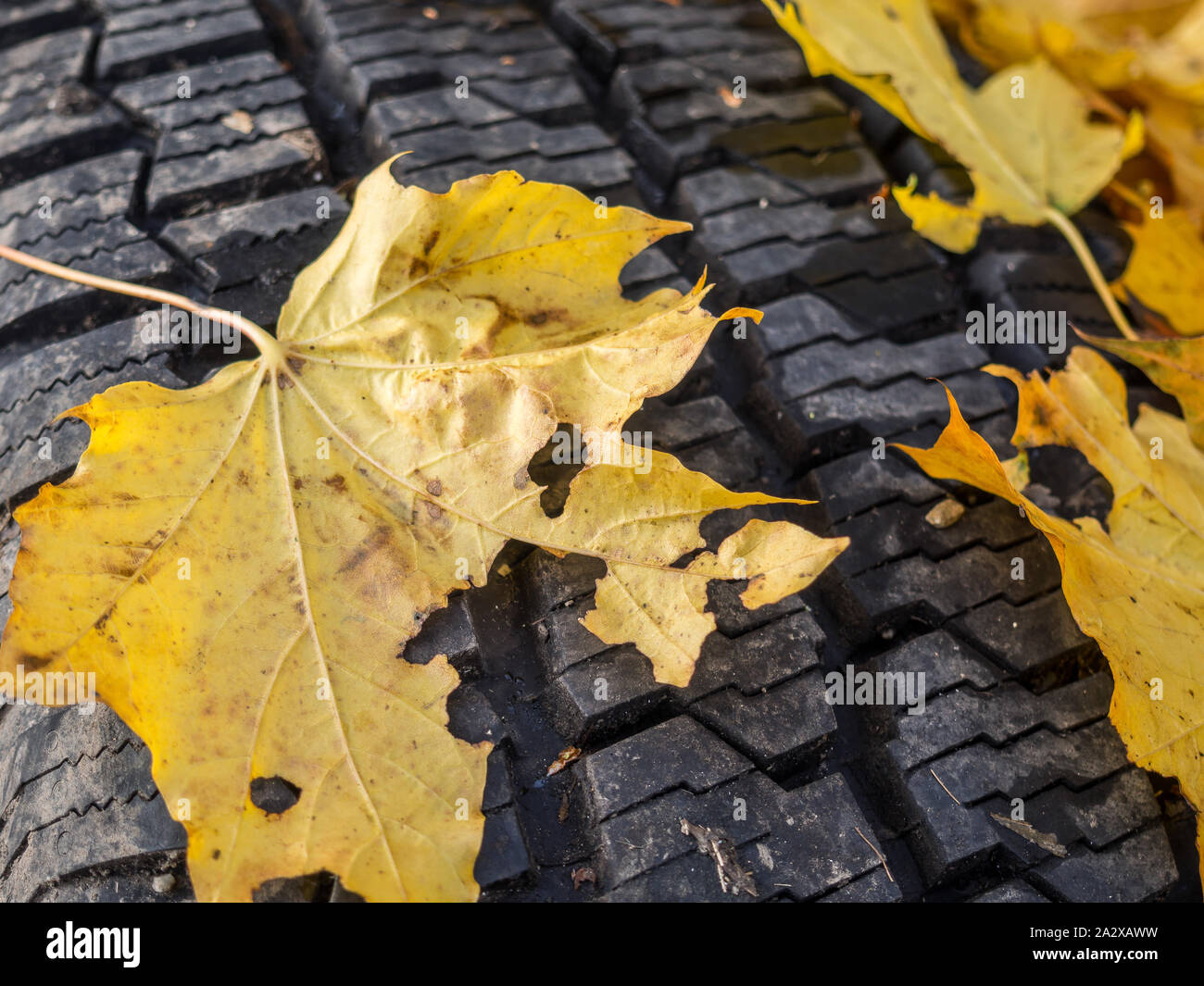 Autumn danger tire profile Stock Photo - Alamy