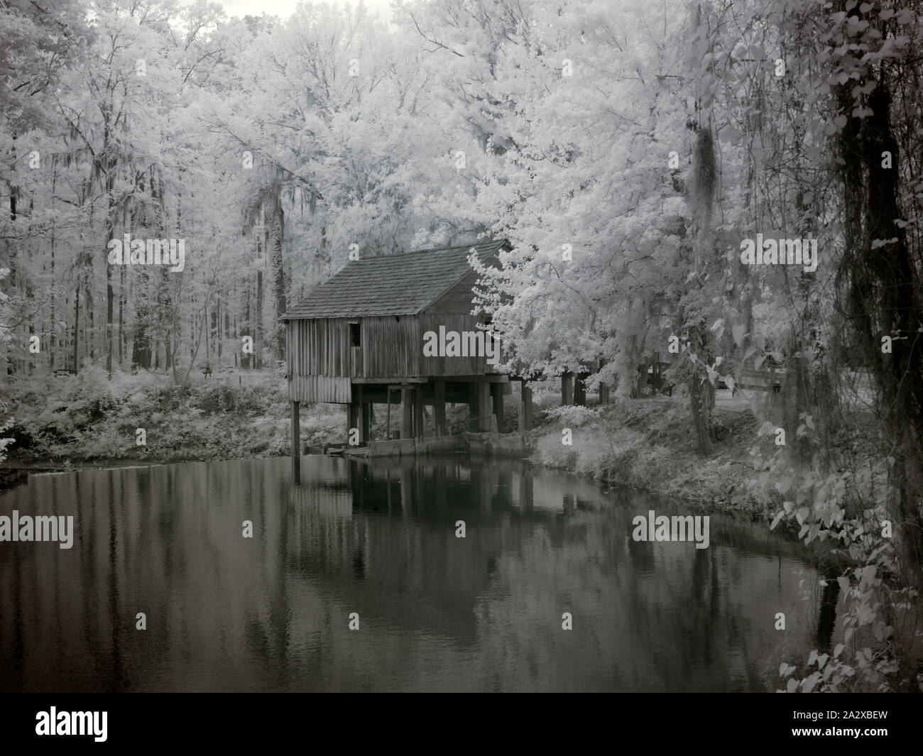 Beatrice alabama hi-res stock photography and images - Alamy