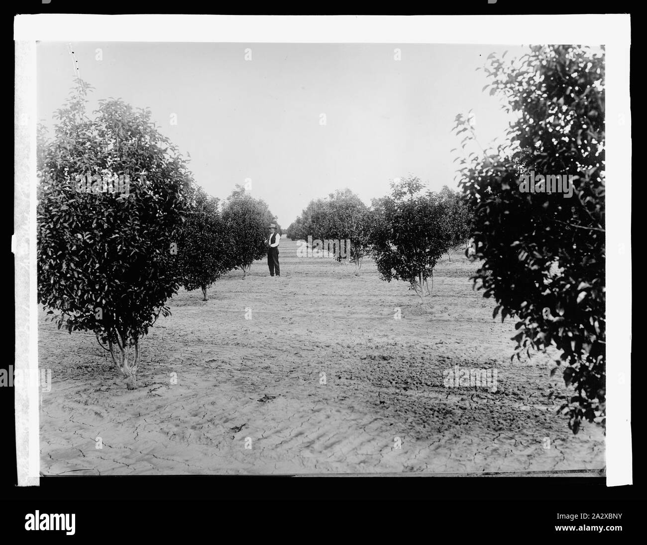 Texas rio grande valley region hi-res stock photography and images - Alamy