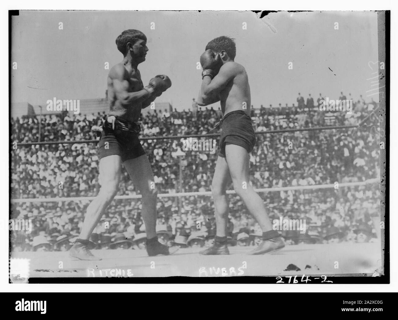 Rivers environment Cut Out Stock Images & Pictures - Alamy