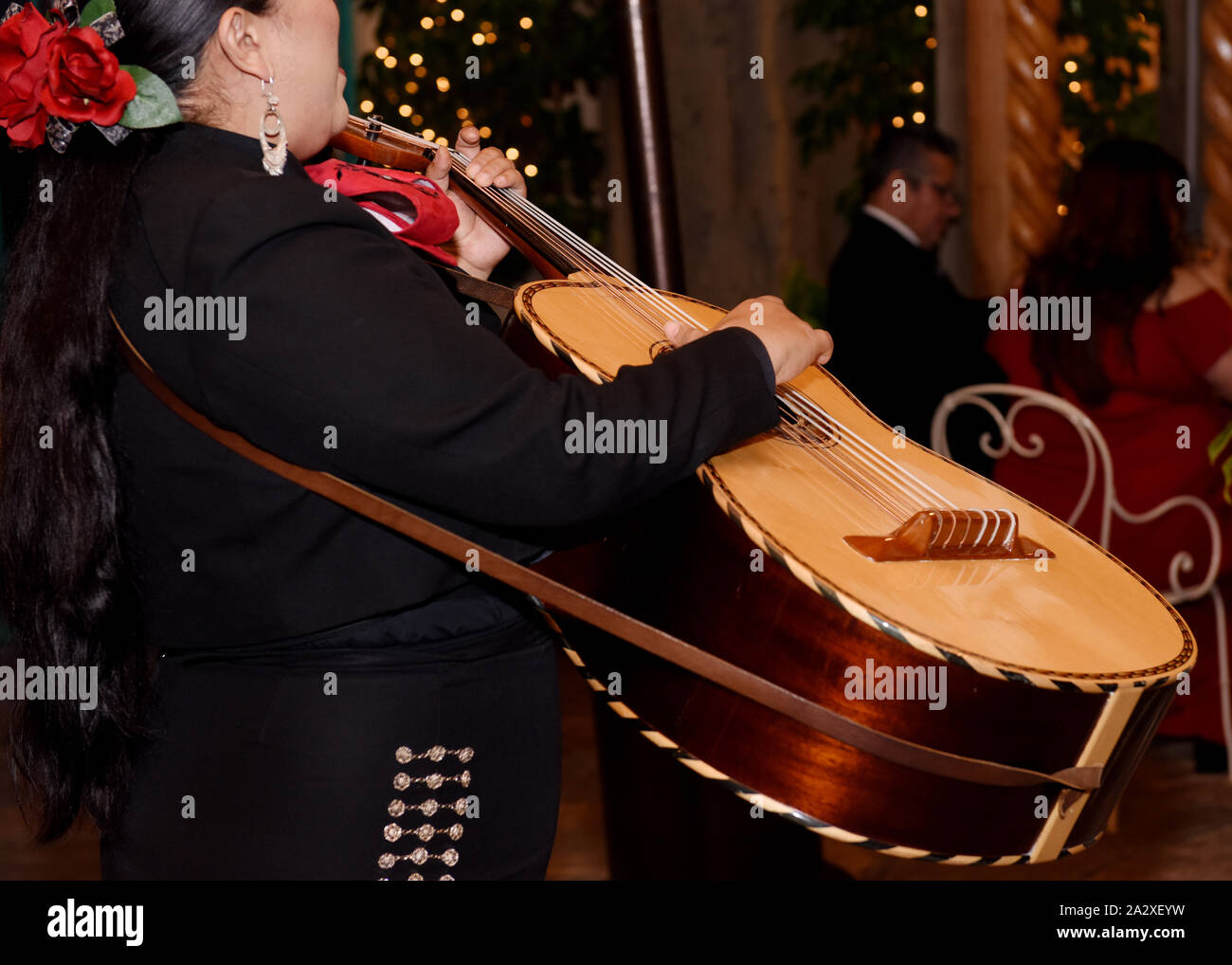 Traditional Mariachi Musician Mexican Singer Stock Photo - Alamy