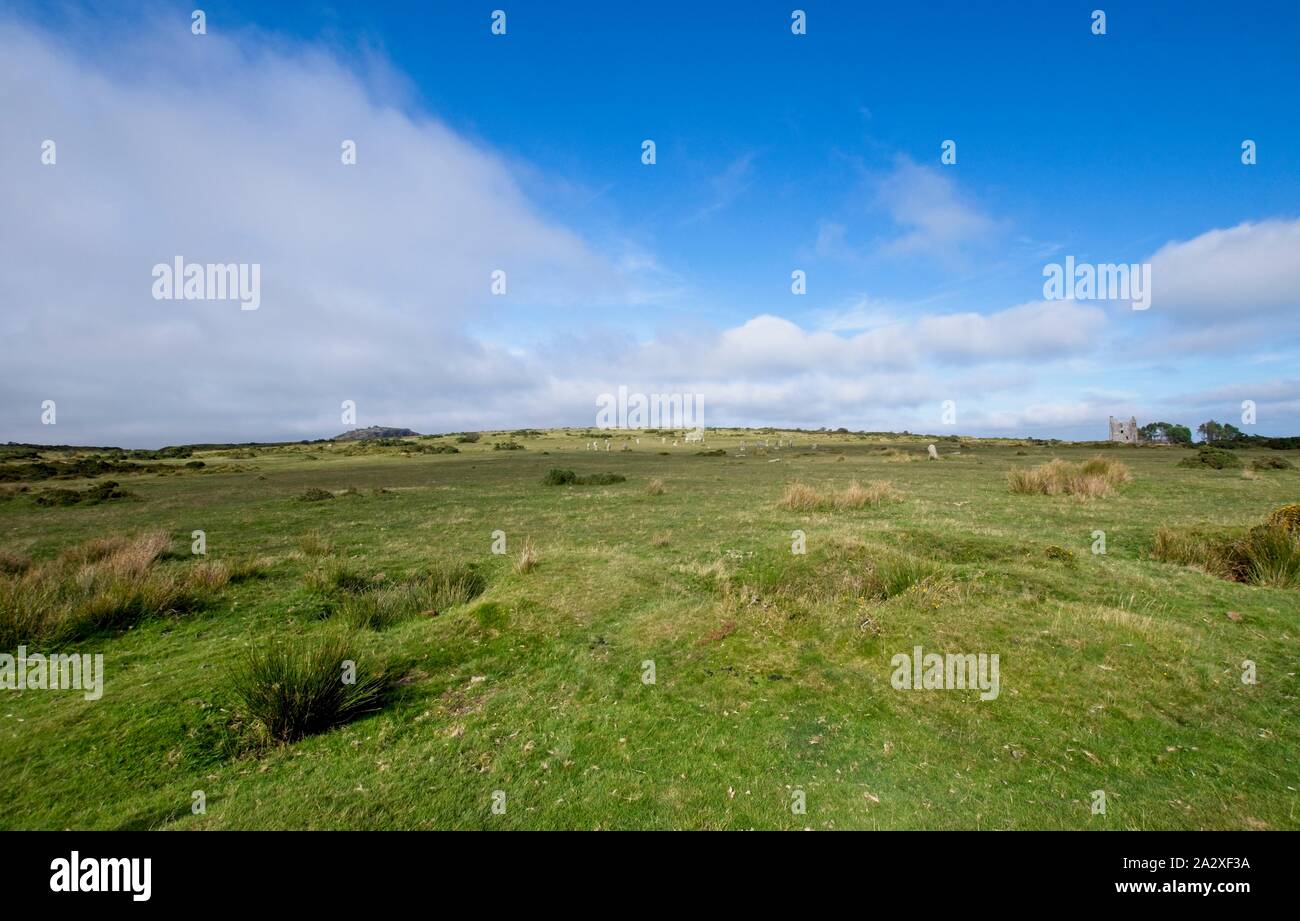 Bodmin moor landscape trees hi-res stock photography and images - Alamy