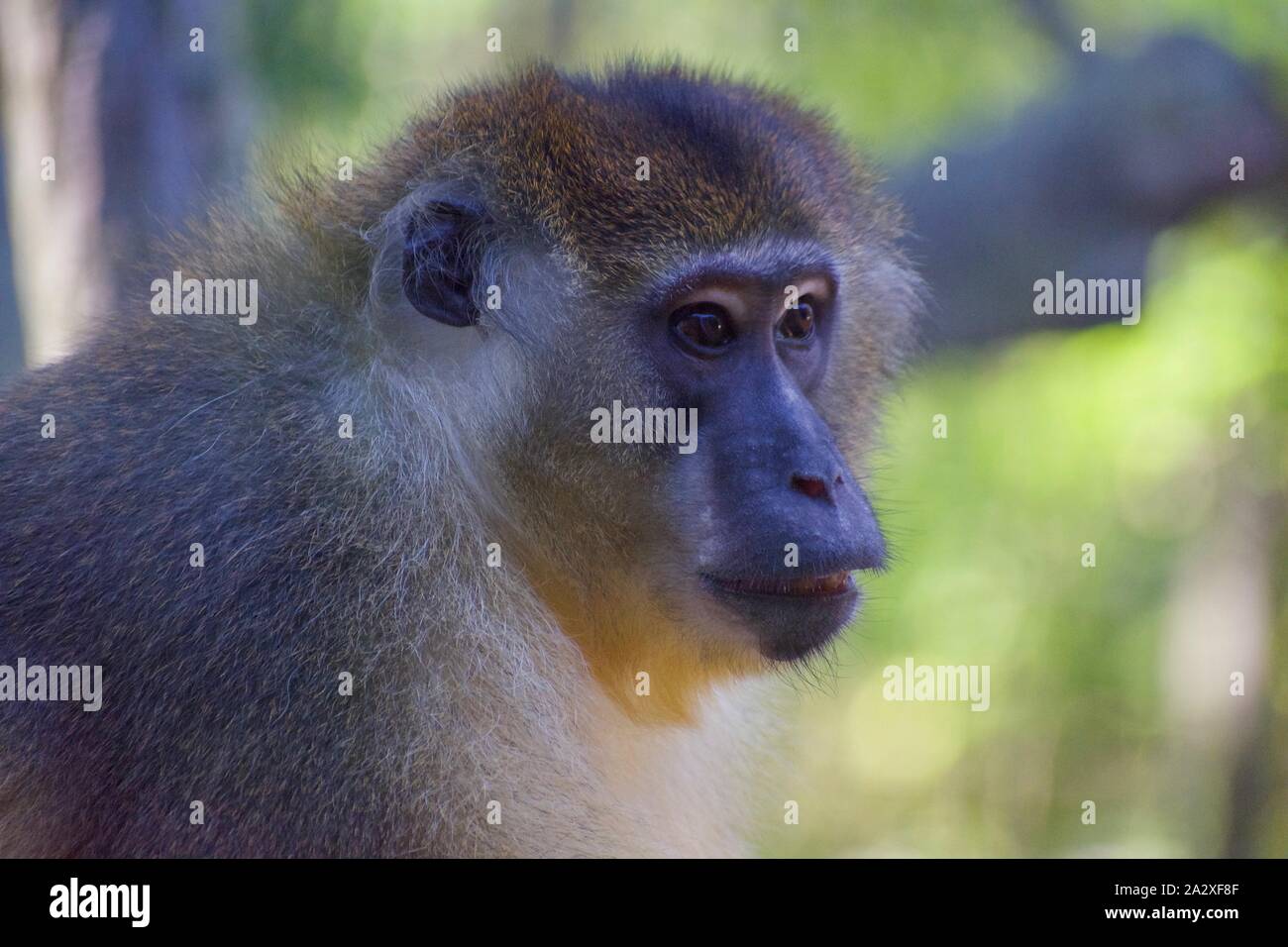 Cleveland Zoo High Resolution Stock Photography and Images - Alamy