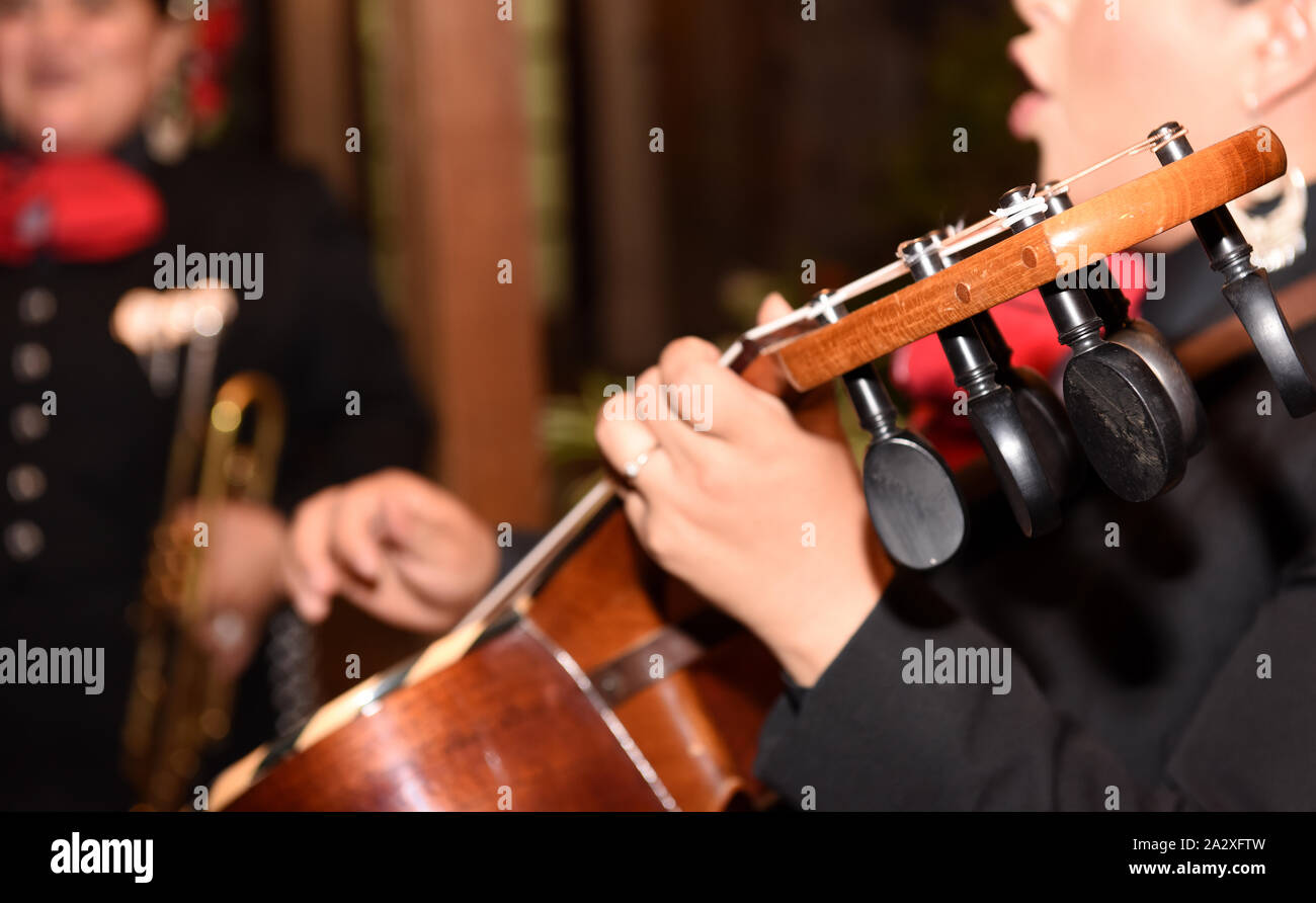Traditional Mariachi Musician Mexican Singer Stock Photo - Alamy