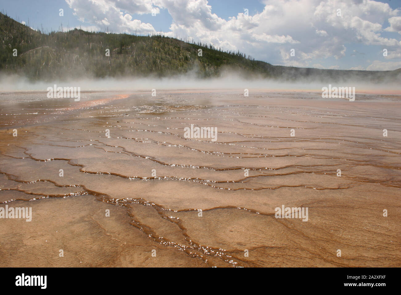 Yellowstone geothermal feature hi-res stock photography and images - Alamy