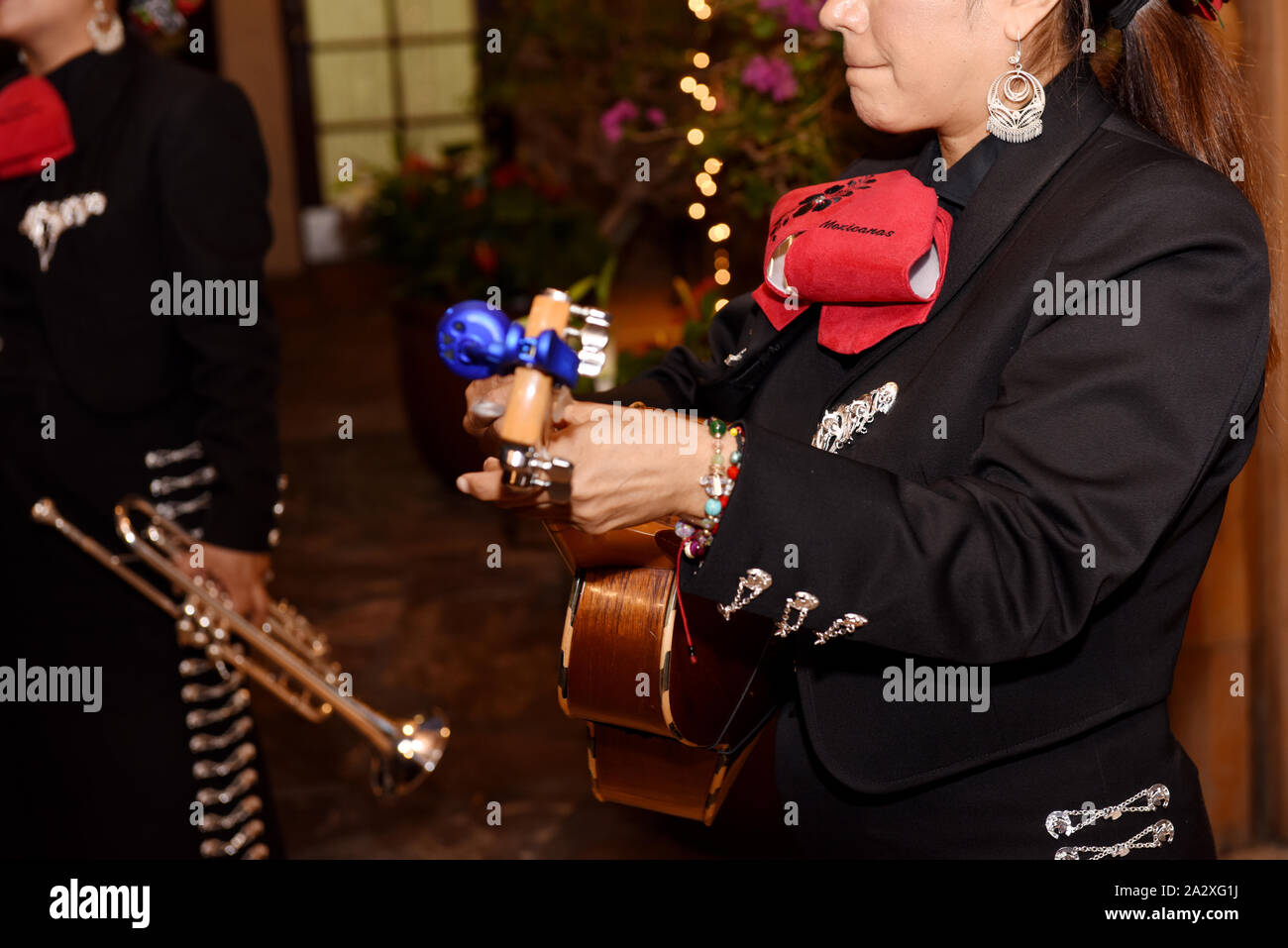 Traditional Mariachi Musician Mexican Singer Stock Photo - Alamy