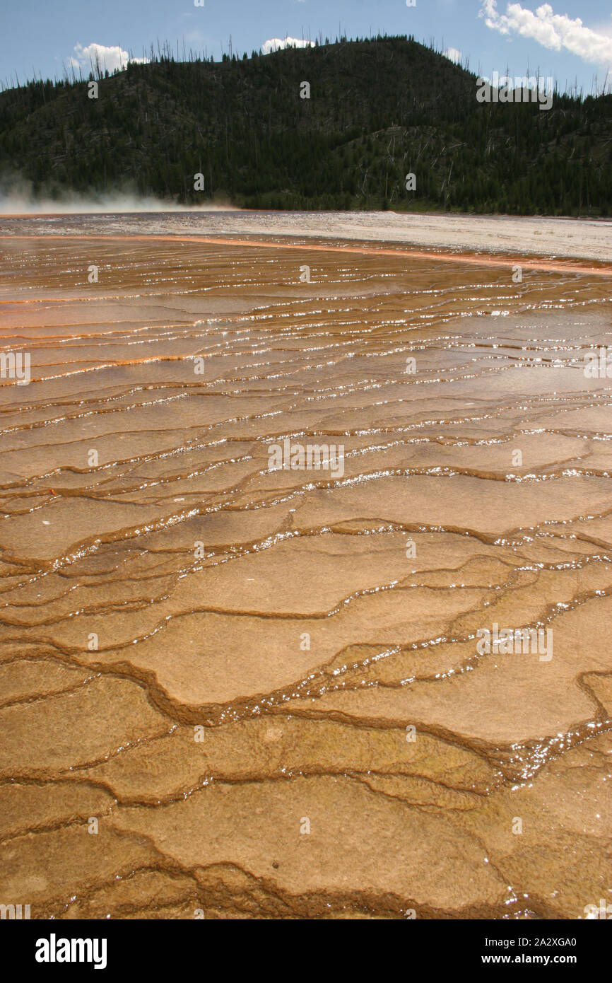 The fragile crust bordering Grand Prismatic Spring geothermal feature ...