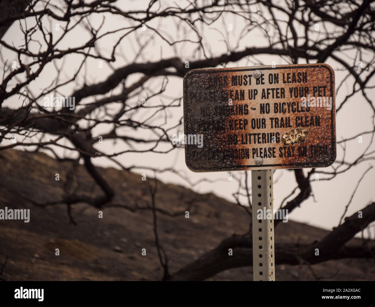 A burnt sign in a park from recent wildfire Stock Photo - Alamy